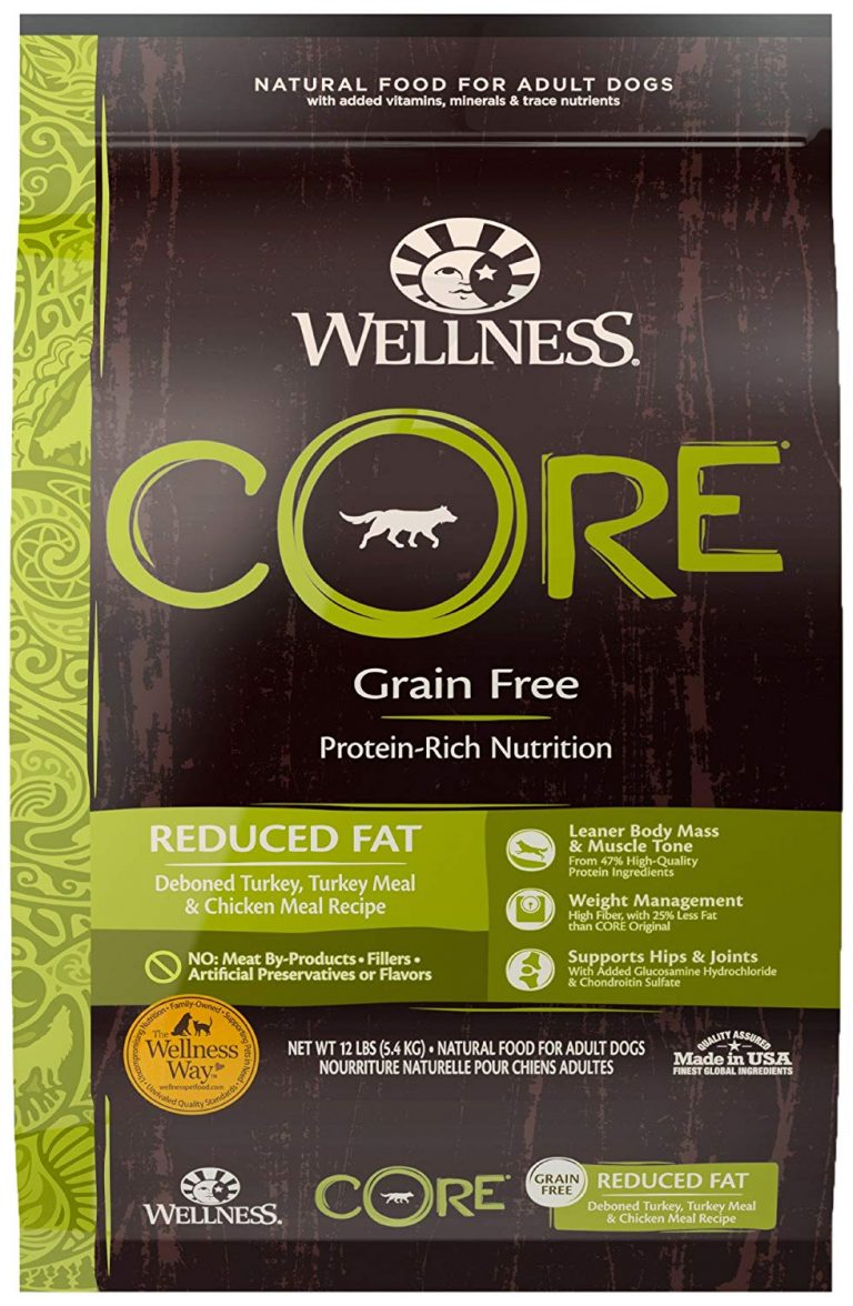 Low-Fat Dog Food? The Benefits & Side Effects | Therapy Pet