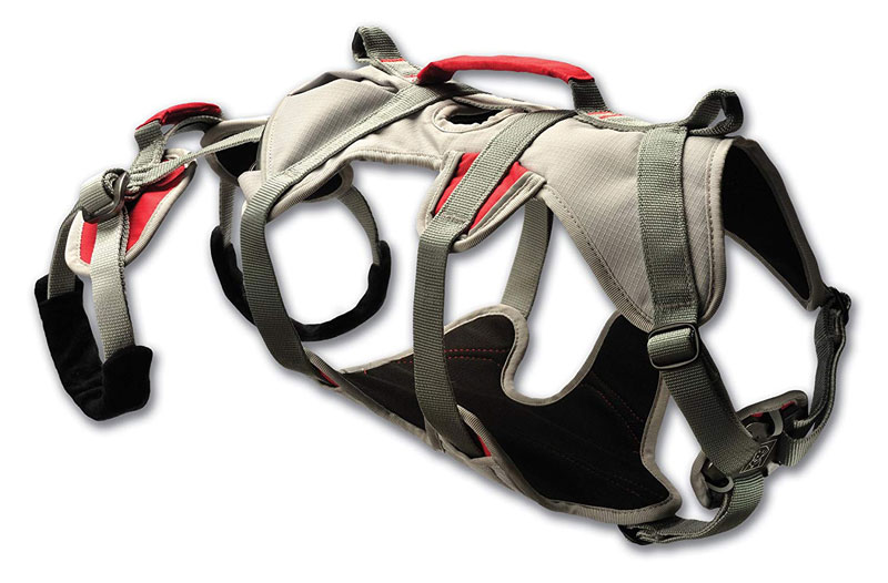 Ruffwear Harness - Built For Tough Pups!