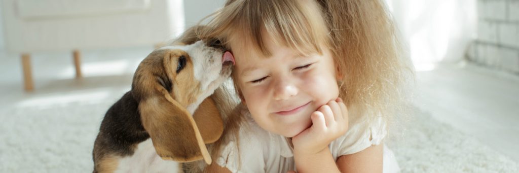 Best Dog Breeds For Pets | Therapy Pet